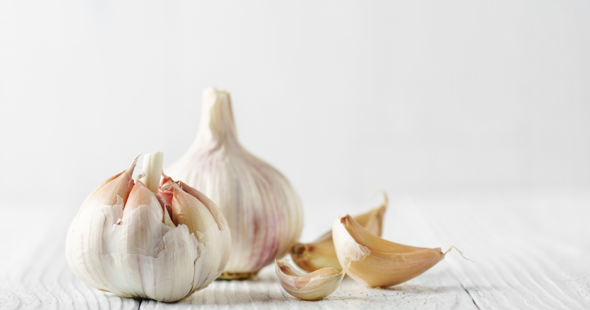 Garlic To Dogs - Yea or Nay? | Naturalistic Hound