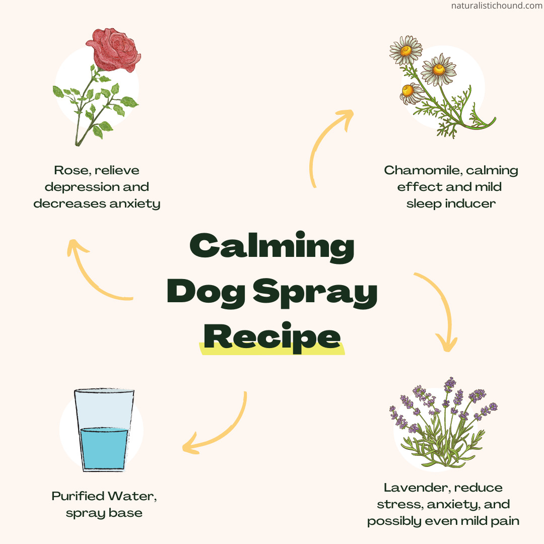 Calming Dog Spray - Recipe | Naturalistic Hound